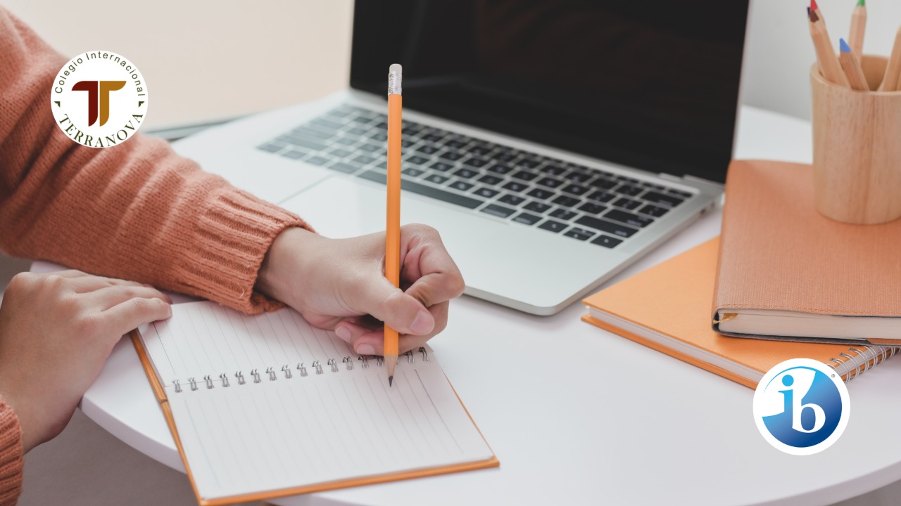 Cómo escribir un ensayo académico: segunda parte – #TerraBlog